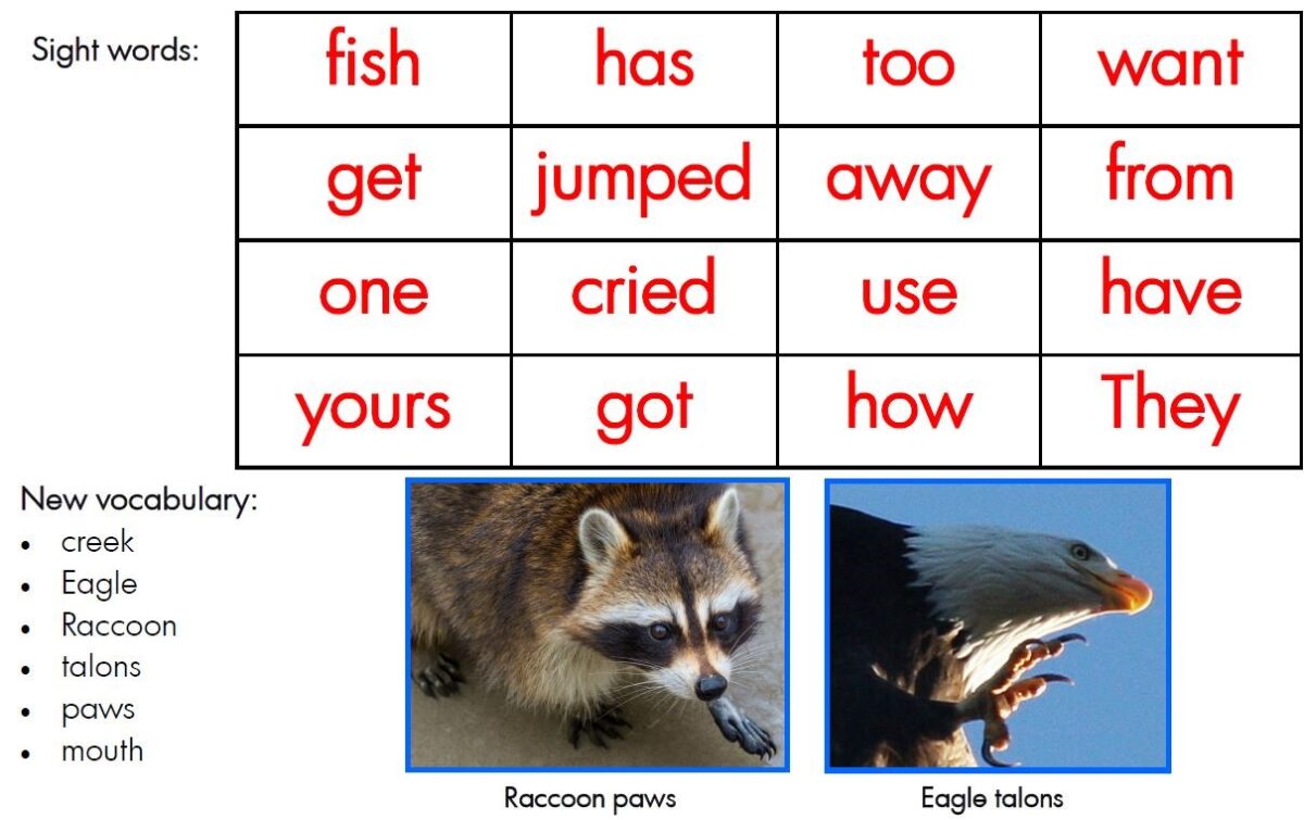 Fishing sight words | Foxy and Friends Books
