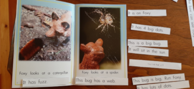 Free Phonics Resources | Foxy and Friends Books