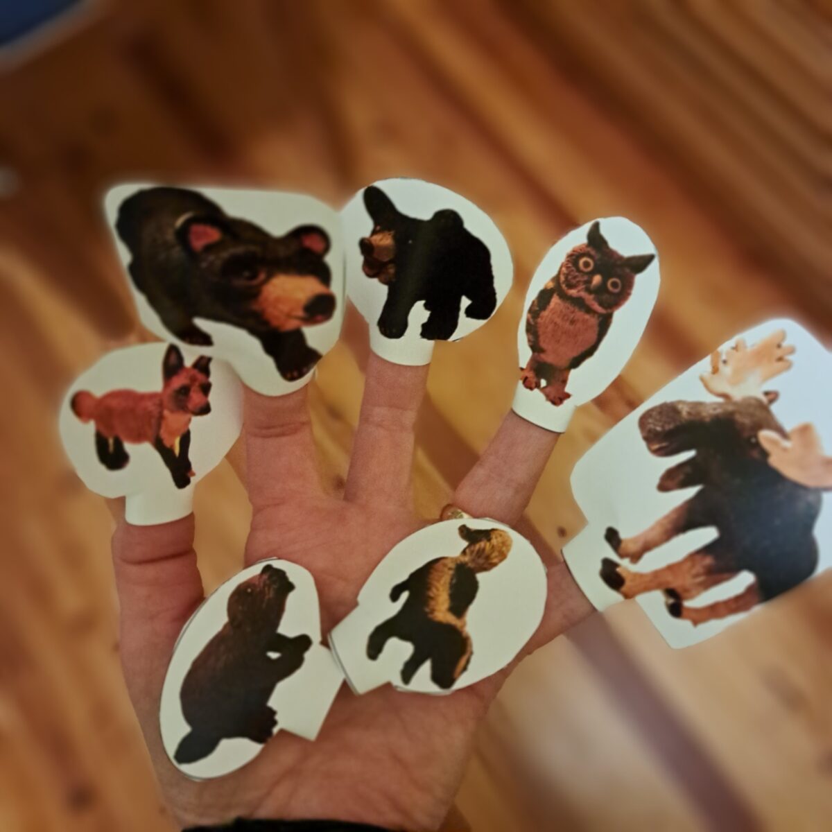 Finger Puppets/ Stick Puppets | Foxy and Friends Books